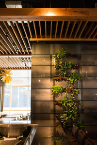 Jamie and Barry’s Cambridge Restaurant Wedding