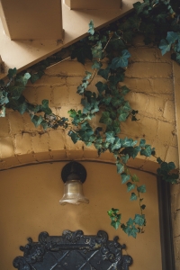 Lauren and John’s Intimate Cafe Roka Wedding in Bisbee, Arizona