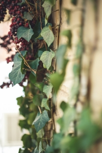 Lauren and John’s Intimate Cafe Roka Wedding in Bisbee, Arizona