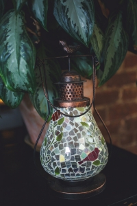 Lauren and John’s Intimate Cafe Roka Wedding in Bisbee, Arizona