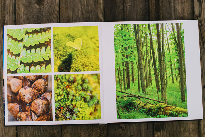 Make Memories Last with Mixbook