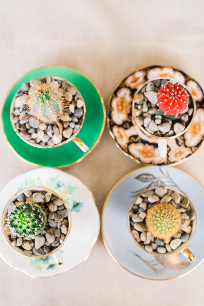 DIY Cactus in a Teacup