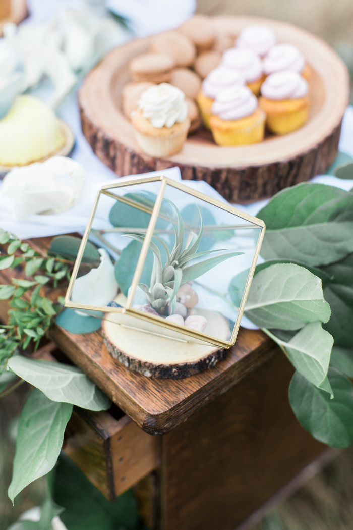 Vancouver Rustic Elegance Styled Shoot