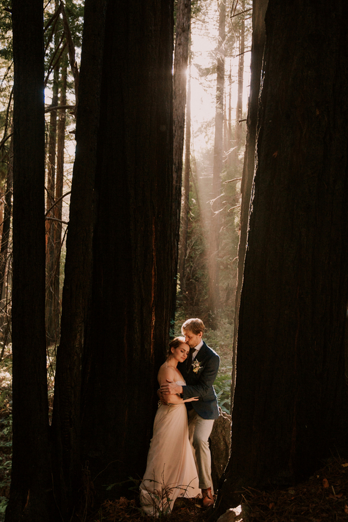 Are You Pining for a Forest Wedding? You Will Love these 10 Weddings!