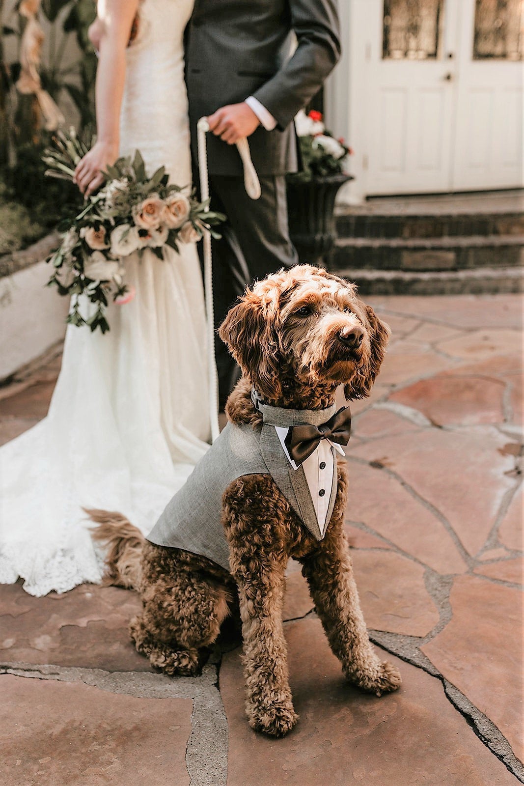 8 Paw-Fect Pet Wedding Outfits From Etsy