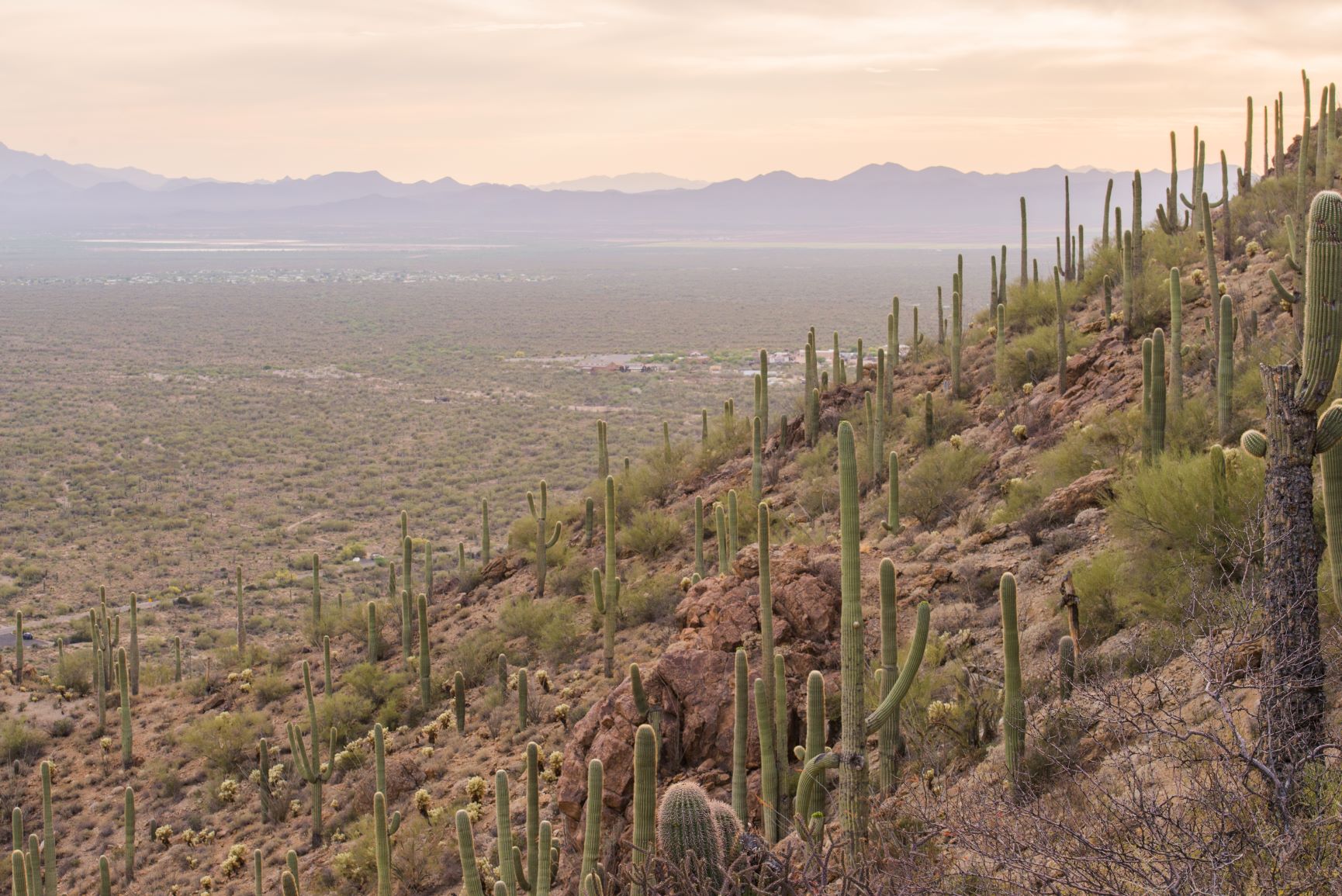 Where to Elope in Arizona